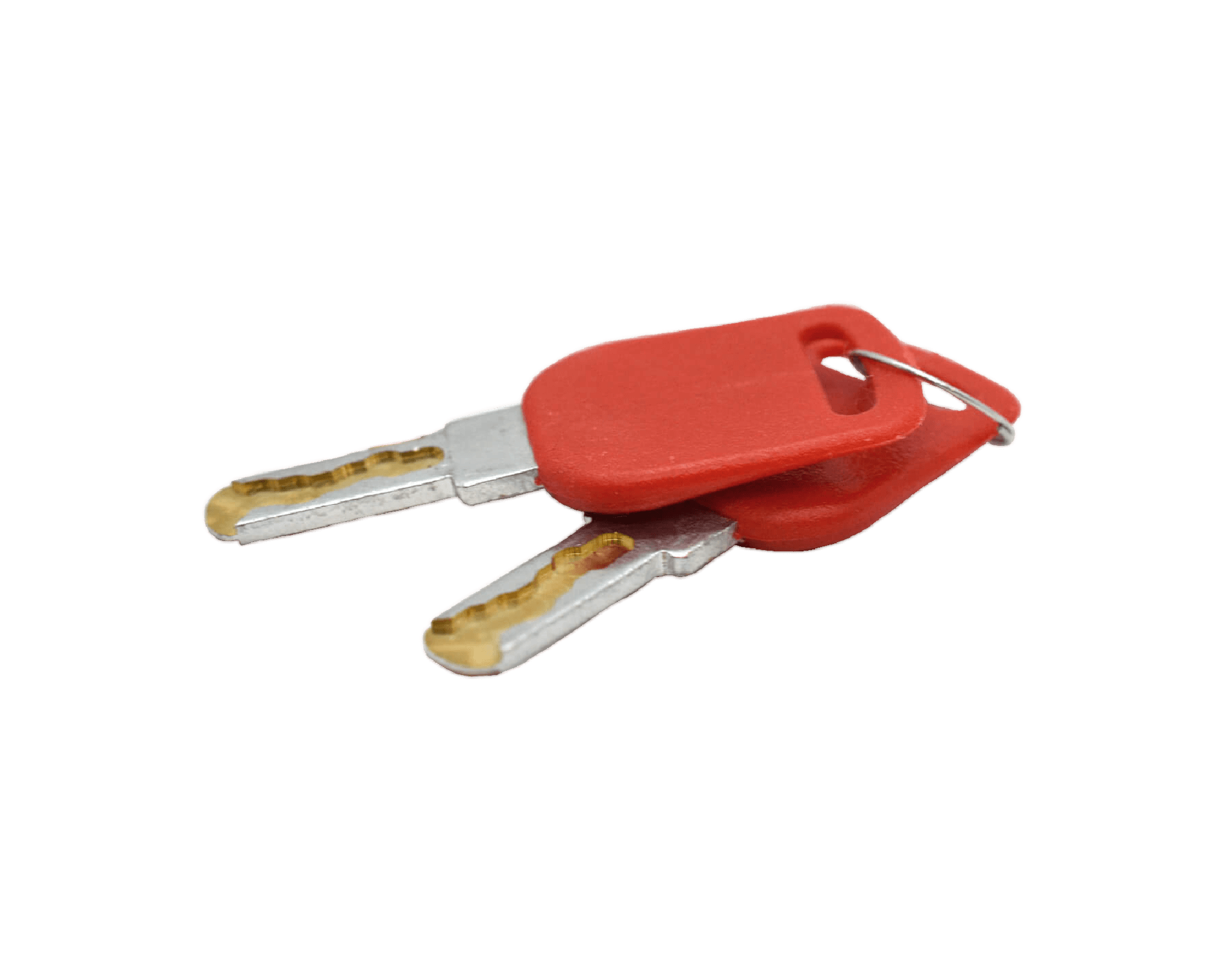 Extra Lock And Key - ArtVend